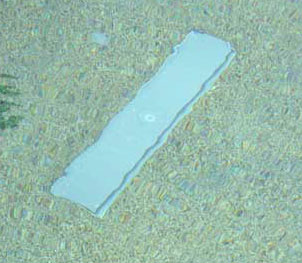 Rainbow Pool Products: