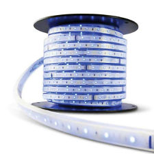 Rainbow Pool Products: